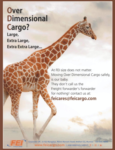 Print Ads - FEI Cargo